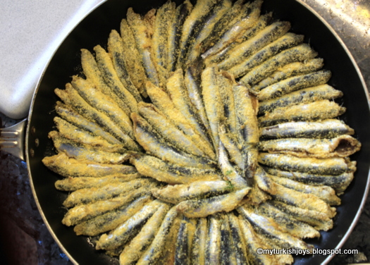 Cooking Hamsi with Friends in Istanbul ~ My Traveling Joys