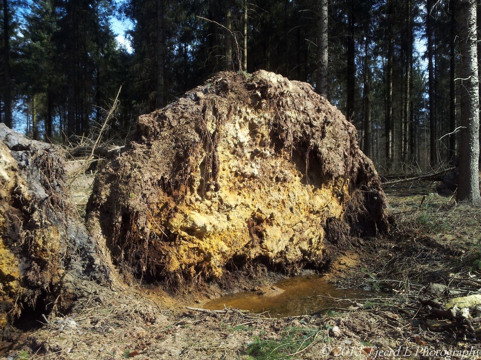 Beleef de natuur: Verwoesting van de natuur