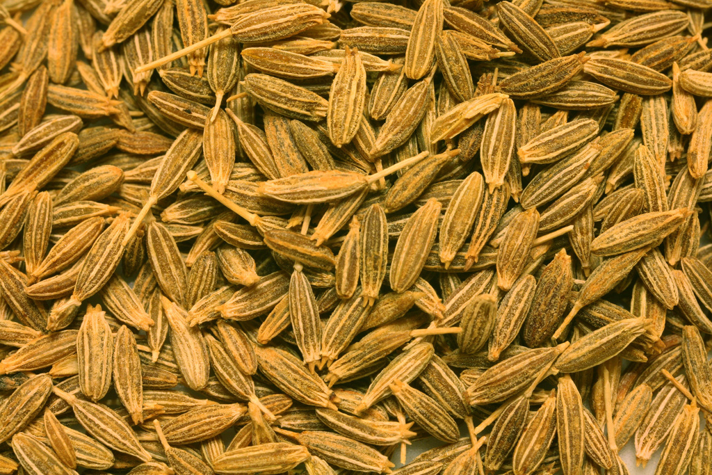 Extremely Health Benefits of Cumin Water (Jeera Water) - HAFR