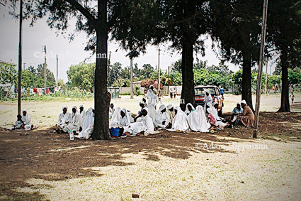 Africa: Gweru and Mvuma, Zimbabwe 2