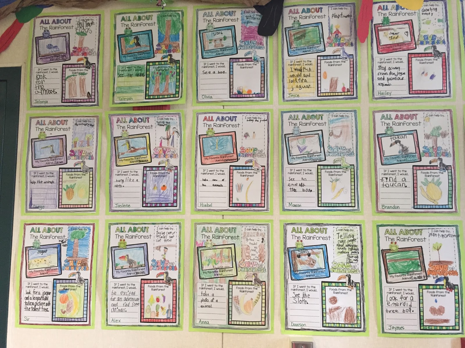 WILD About First Grade!: Open House