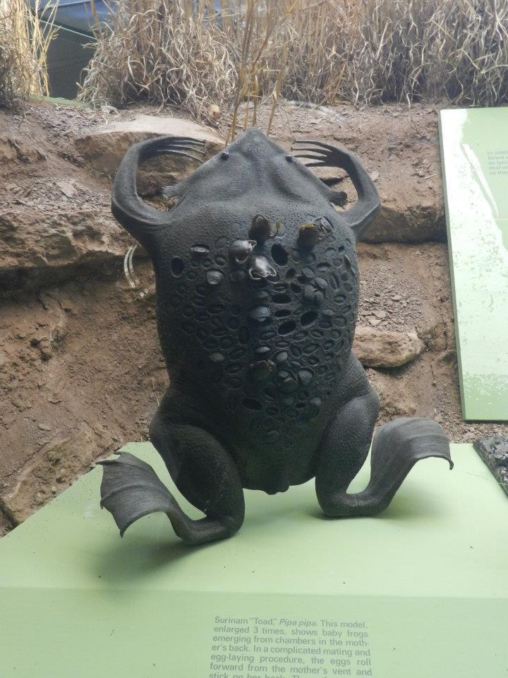 It's Always A New Day For An Everyday Woman: The Big Apple: Day 4, Part ...