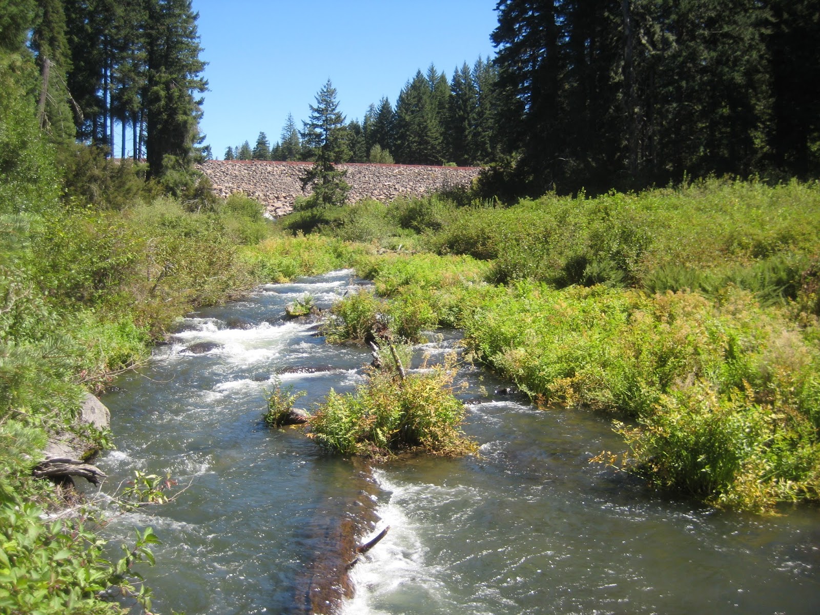 Glenn & Carol's Hiking Adventures: Fish Lake Trail......Again