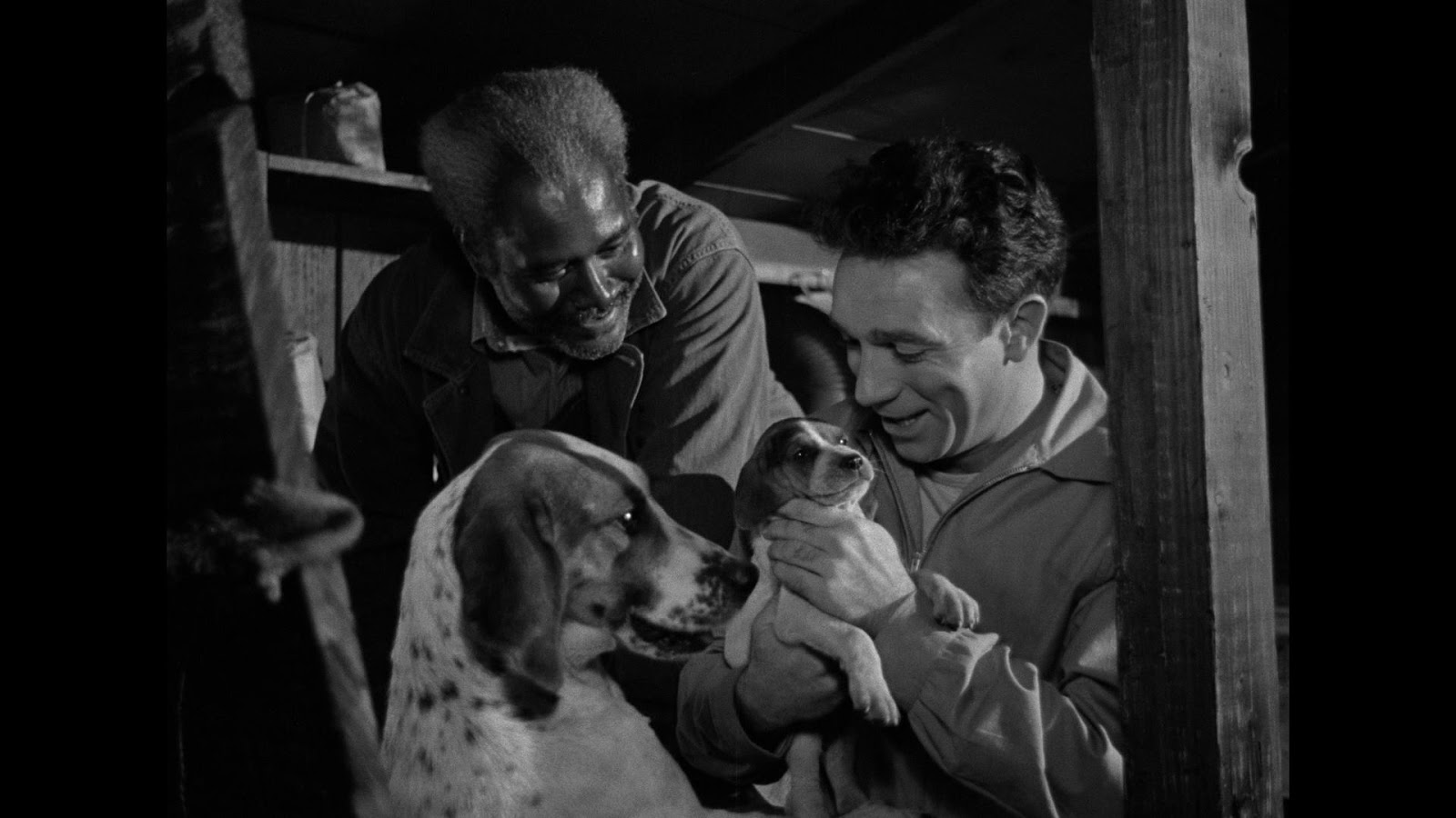 Film Alert 101: On Blu-ray - David Hare on the 'incredibly great ...