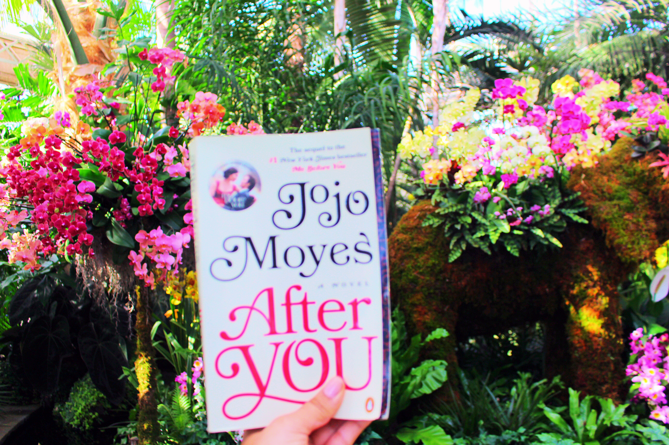 After You | Book Review | Wanderlust Beauty Dreams