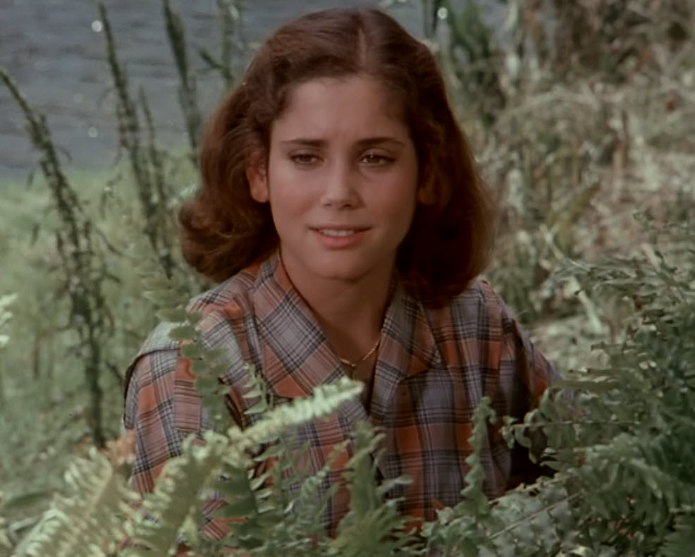 The Retro Rocket: Waltons 7.2: “The Calling”