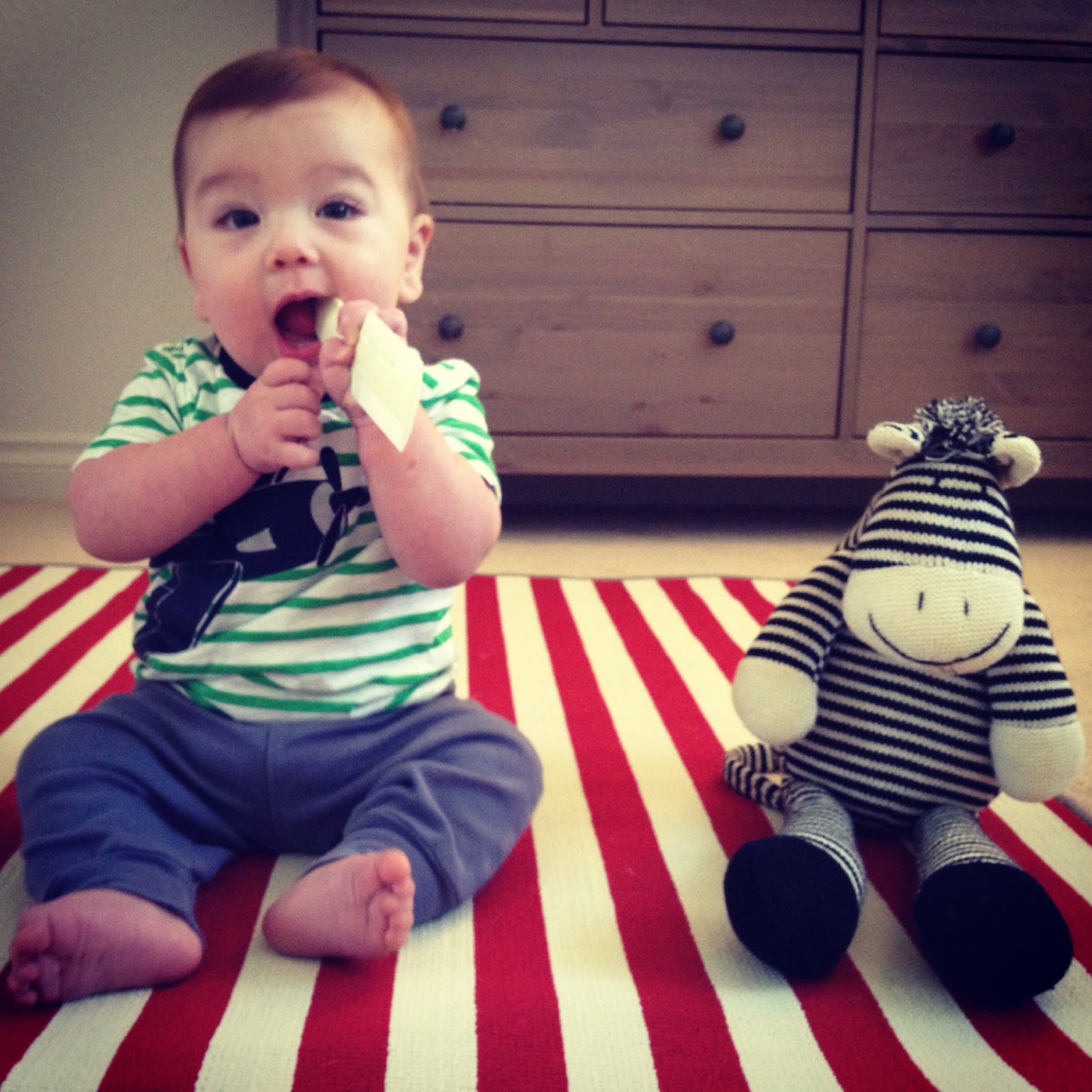 Hoping for Baby B: Eight Months