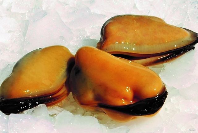 La importancia nutricional del "Chorito" - PL Prensa