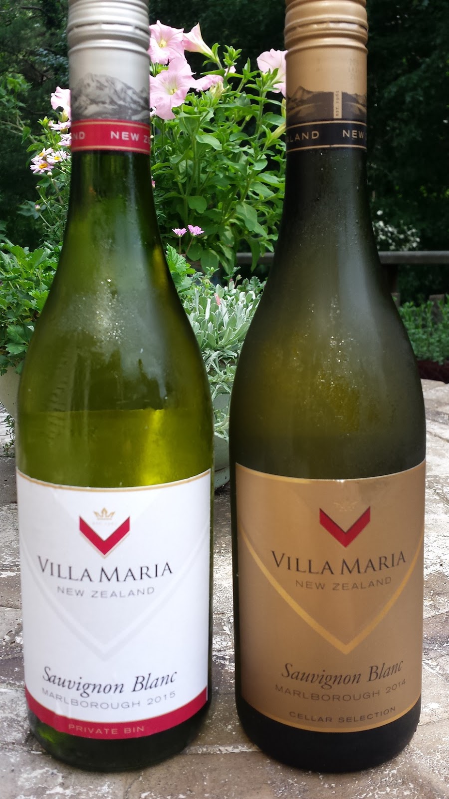 WineCompass: A Taste of Two Villa Maria Estate Sauvignon Blancs