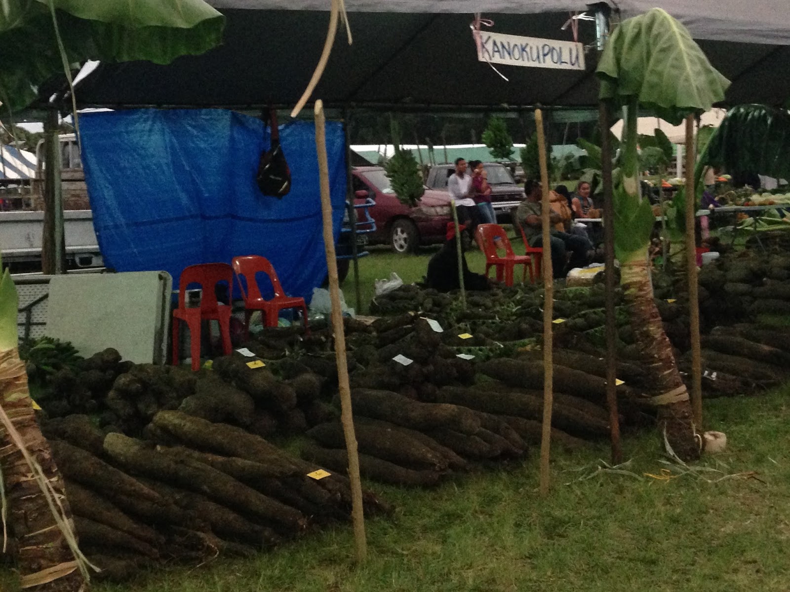 Teach Me To Tonga: September 2016