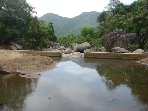 Tamilnadu Tourism: Amirthi Forest & Zoological Park, Vellore