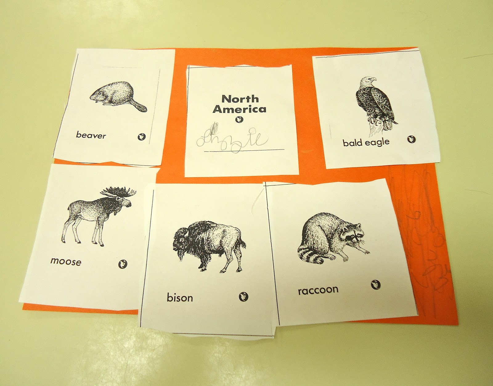 To the Lesson!: Animals of North America