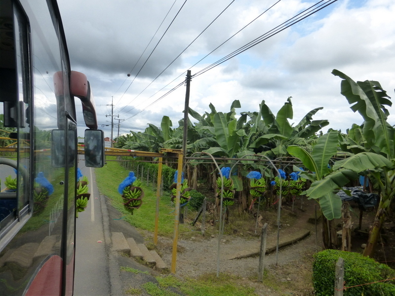 Costa Rica: qué hacer gratis!