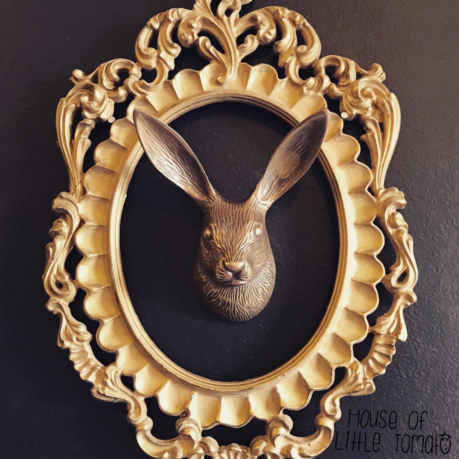 House of Little Tomato: Framing a Rabbit