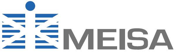 MEISA: Sociedad Mexicana de Ciencia y Tecnología de Superficies y ...