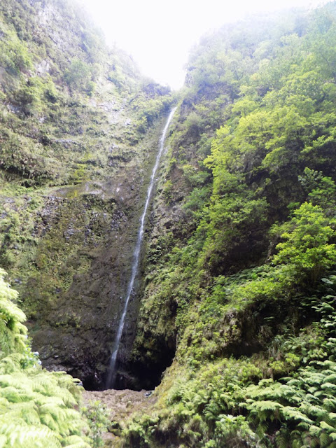 Senderos Almariya: 1.- Ruta por la Levada do Caldeira Verde (PR-9 ...