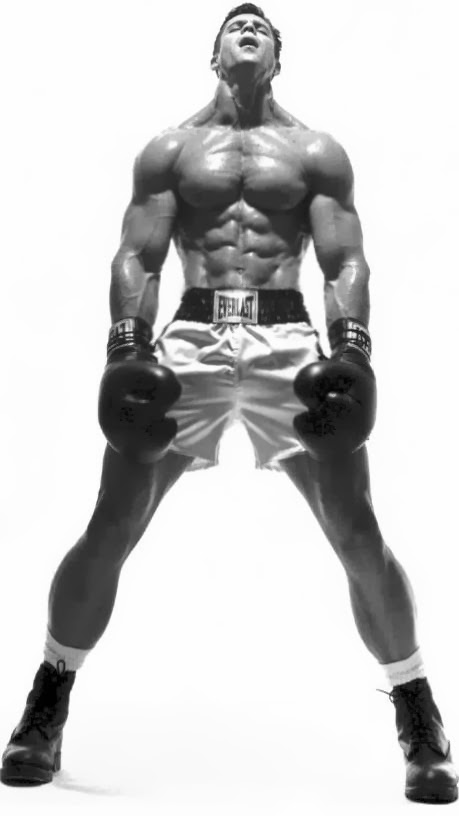 Into the Vault BUILT by tallsteve: Page 16