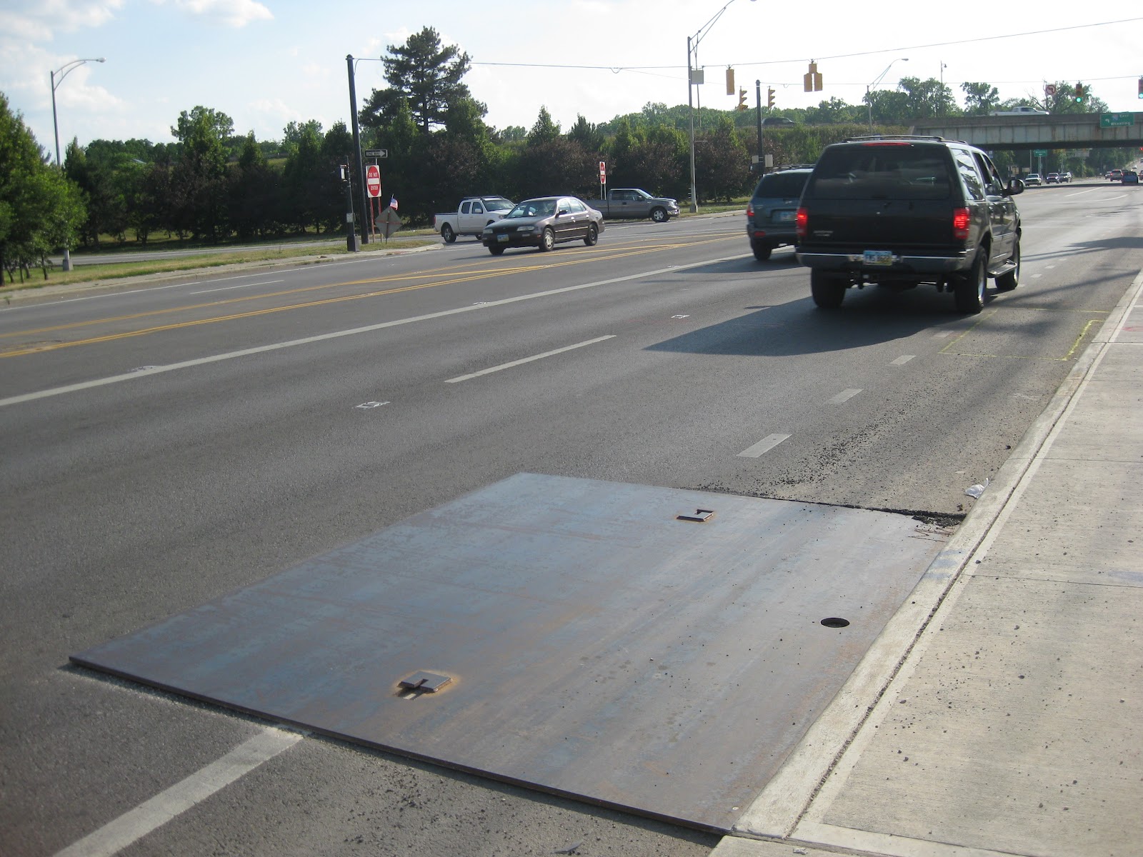 Anyone else hate these bumps? My least favorite part of riding my board ...