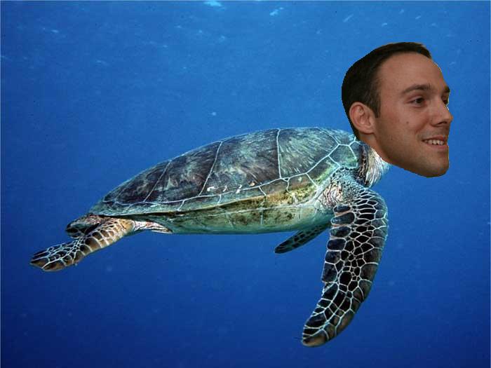 Hairy Business: TURTLE PEOPLE