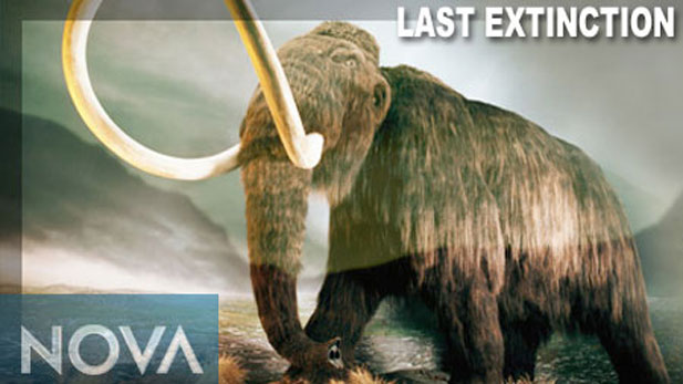 Far Future Horizons : The Last Extinction