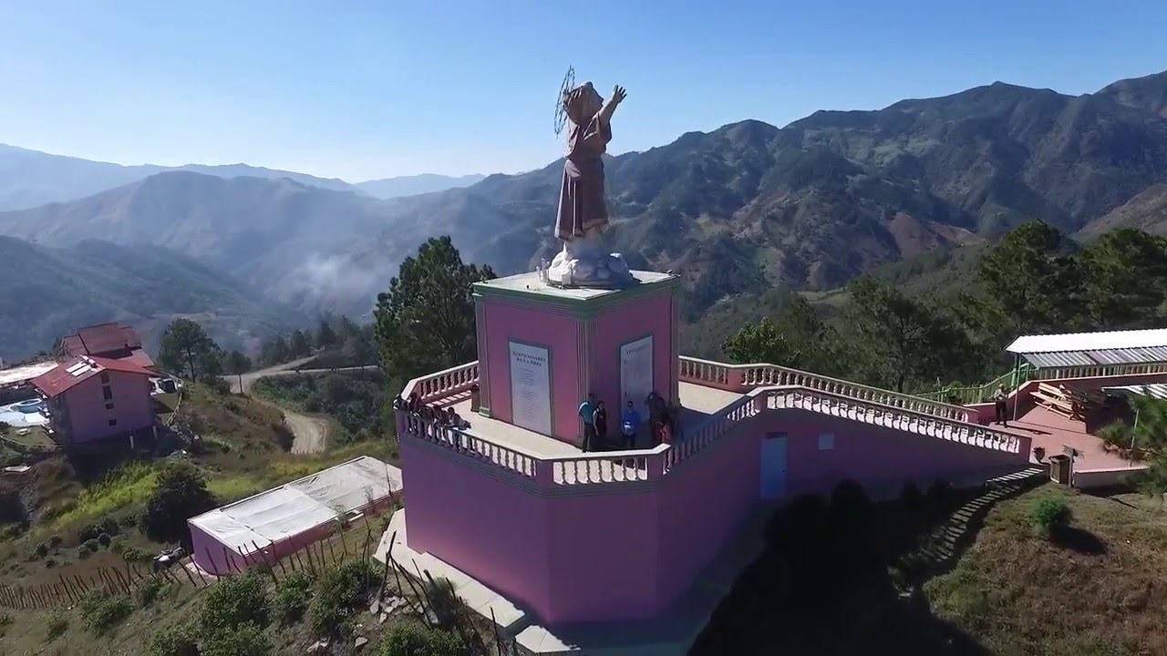 Darwin killed God: Everything you always wanted to know about Constanza ...