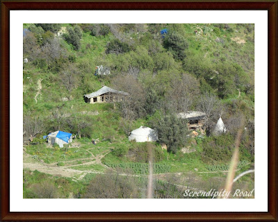 On the Serendipity Road: Pictures from Beneficio/Spain Part 3 // Bilder ...