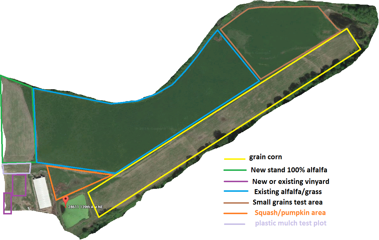 meat: the 2016 crop plan