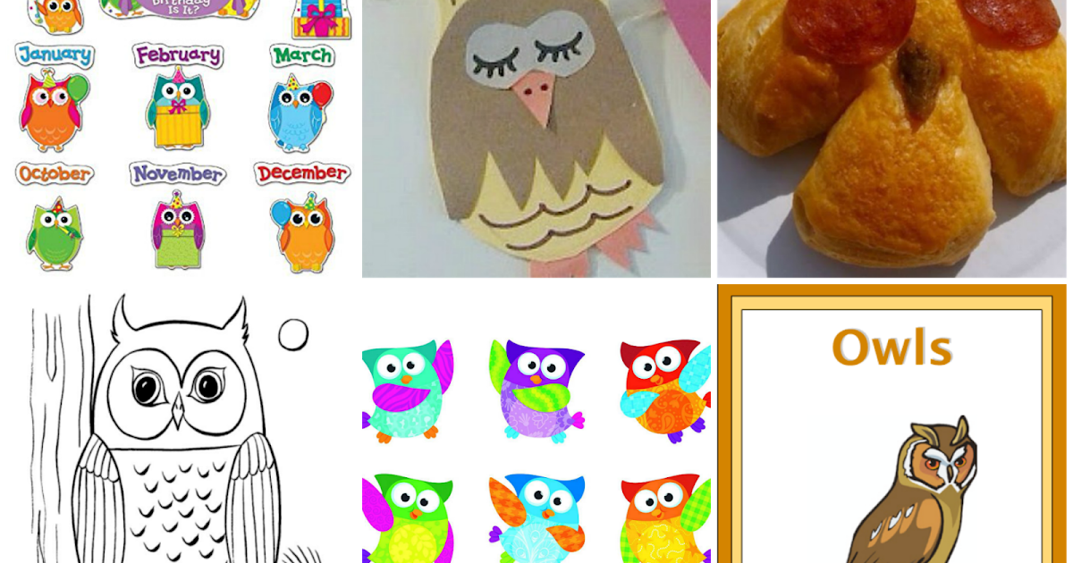 9 Owl Back to School Decorations Thematic Unit - Adventures of Kids ...
