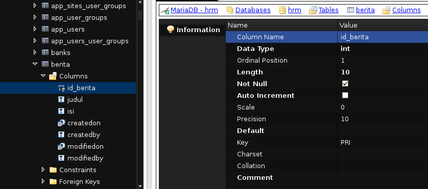Programming Rants: Open Source Desktop Database GUI Programming Rants: Open Source Desktop Database GUI