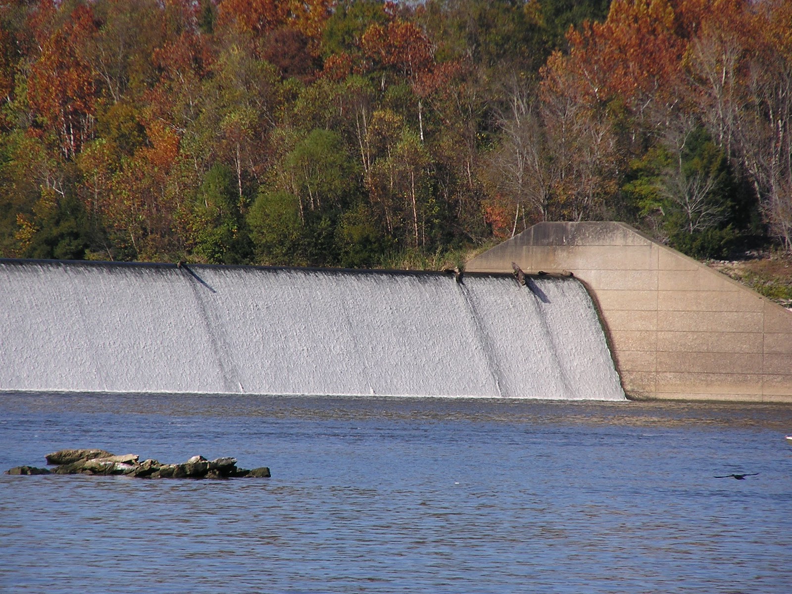 Adventures of Boreas: Day 128 – Bobby’s Fish Camp to anchorage at ...