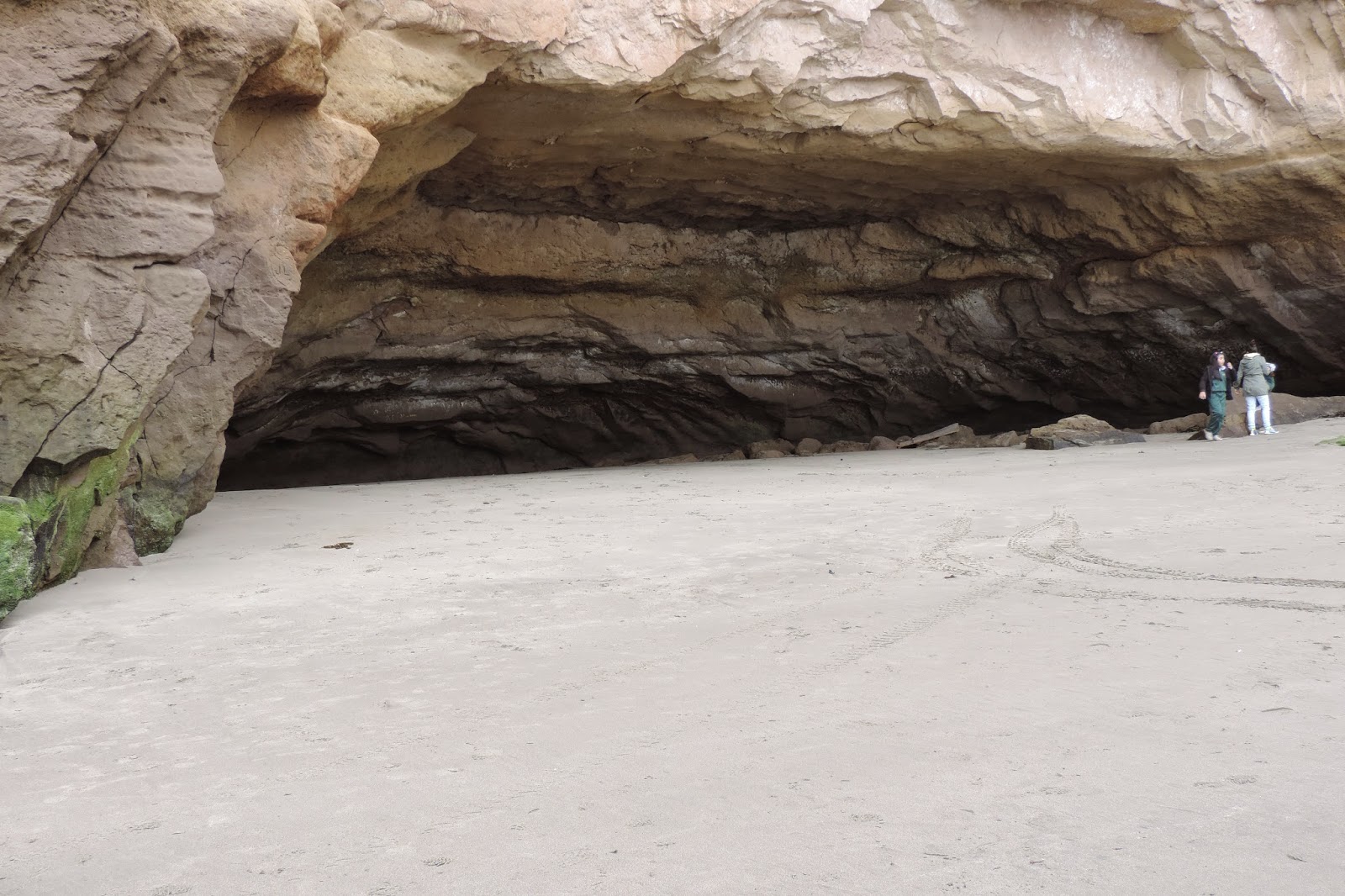 PALEONTOLOGÍA PARA TODOS: Visita guiada por un geositio de la comuna de ...