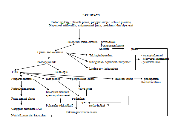 indrajaya: Pathways Sectio Caesaria