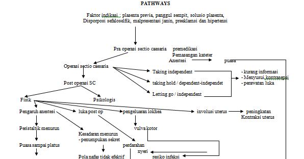 indrajaya: Pathways Sectio Caesaria