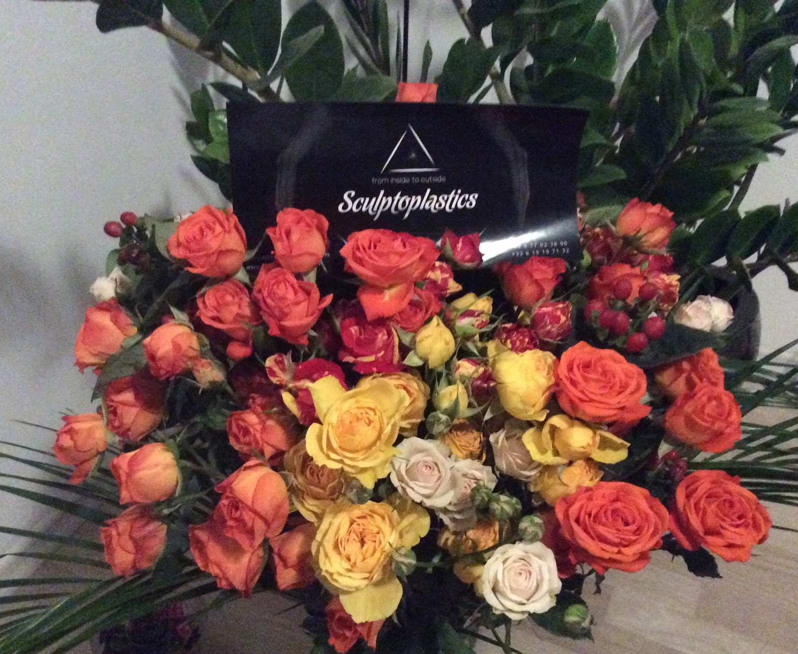 Sculptoplastics by Iulia Avram