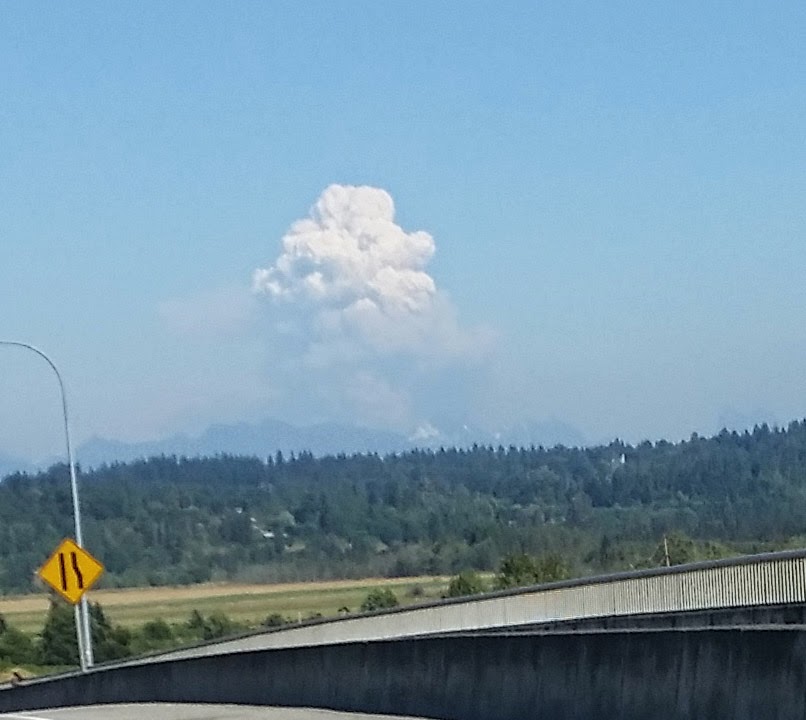 Cliff Mass Weather Blog: Pyrocumulus