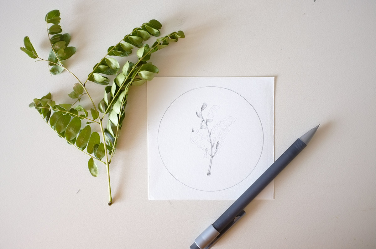 How to: Geometric plants drawing studies - Alena Moon
