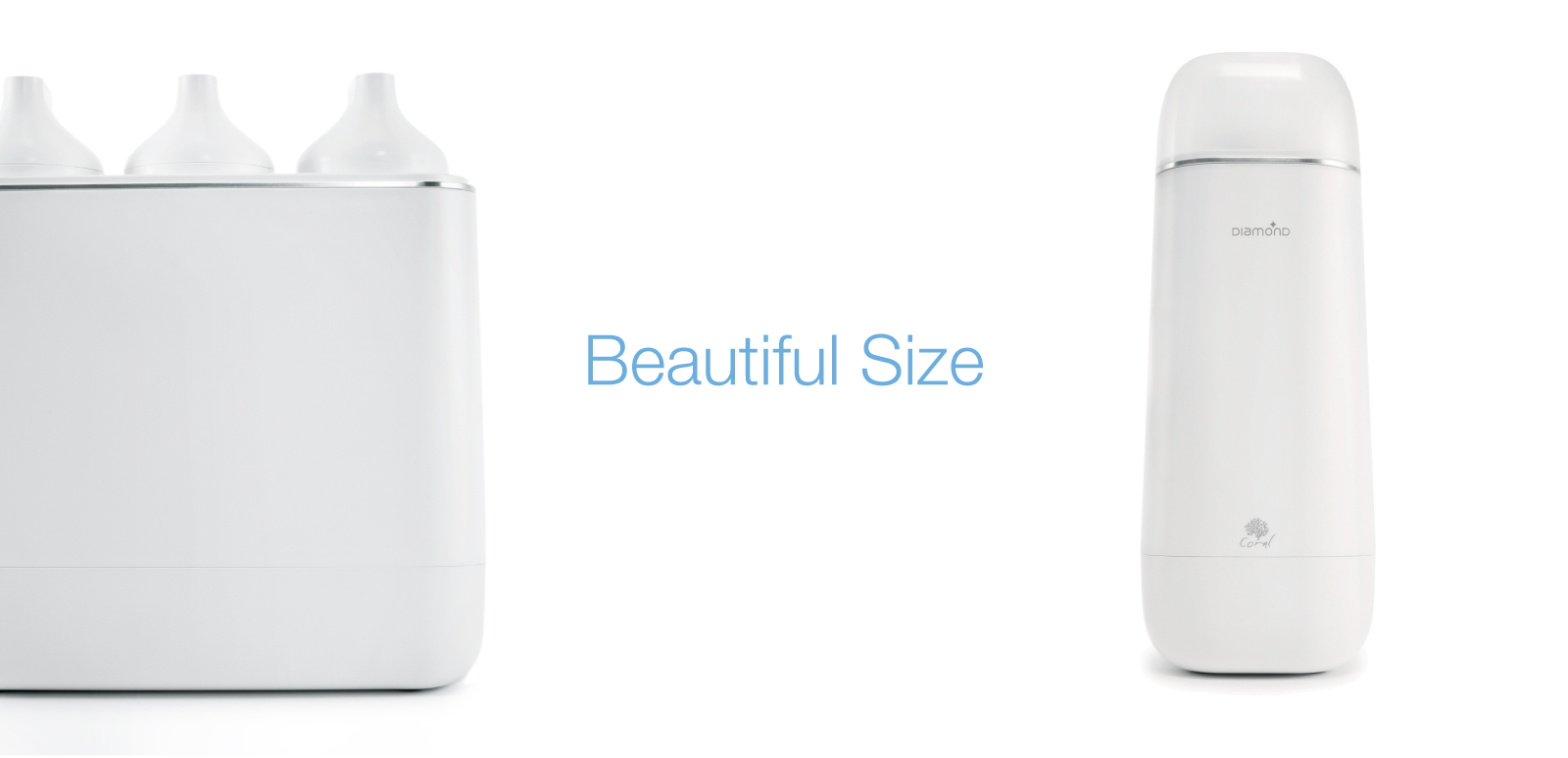 Diamond Coral Malaysia: Diamond Coral Mini Products