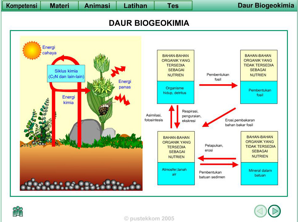 Daur Biogeokimia ( file swf ) - Ilmu Fisika and Biologi