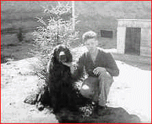 Newf Friends: Gander, the Newfoundland Dog War Hero