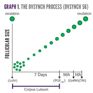 The GENEX Blog: Dairy Synchronization: A Learning Experience - Part 2