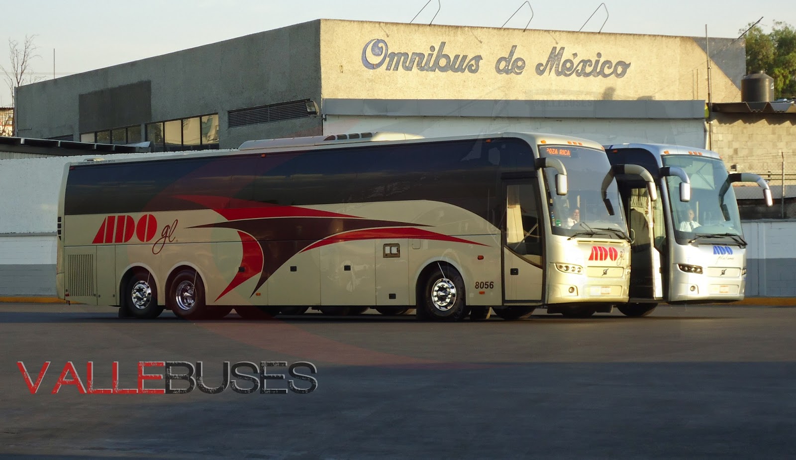 Vallebuses: 0446 - ADO GL