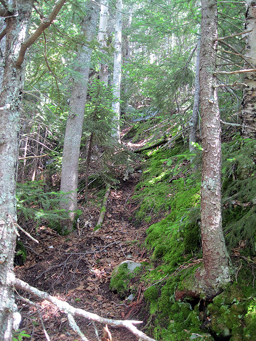 Hiking in the White Mountains: The Abandoned Adams Slide Trail