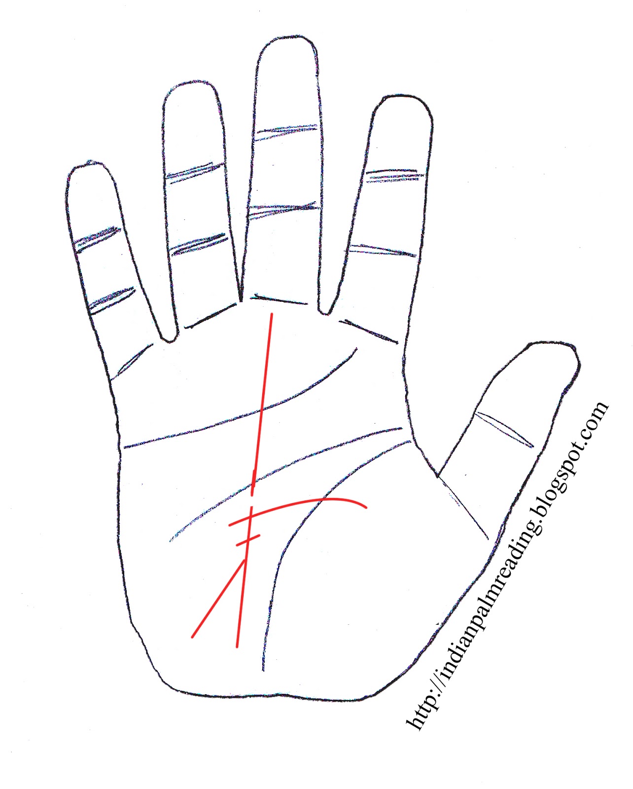 Learn Basic Rules, Secrets And Facts Of Indian Palmistry ~ INDIAN PALM ...