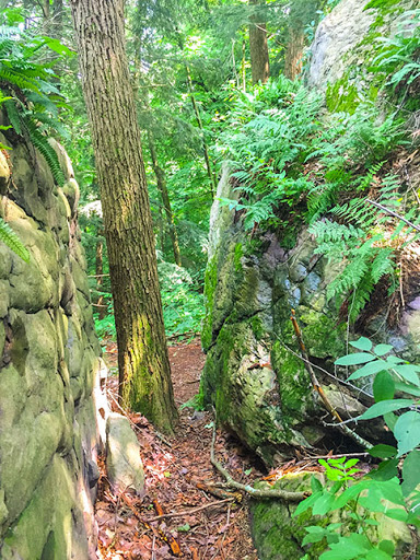Wisconsin Explorer: Hiking Ablemans Gorge