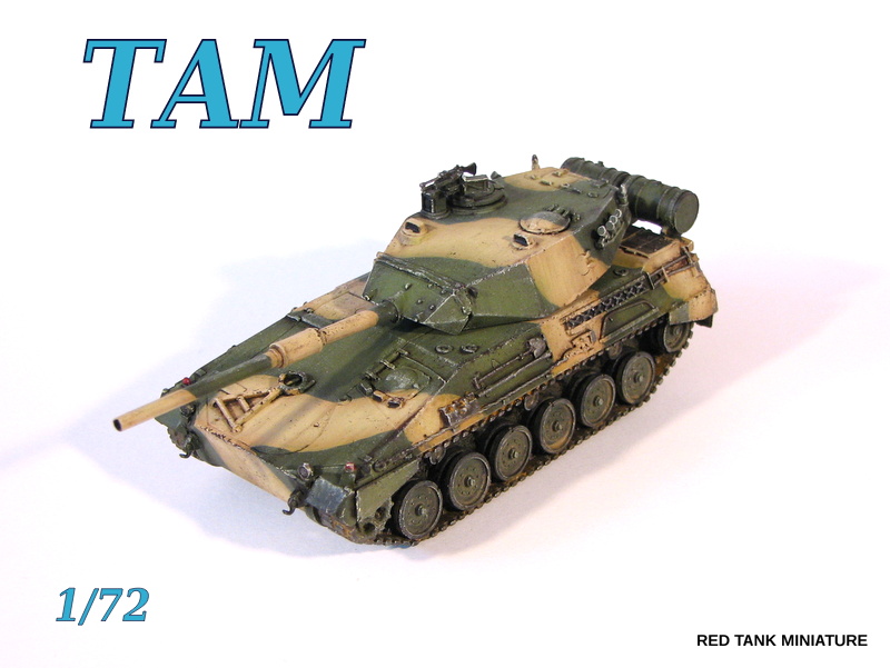 Gulumik Military Models: TAM 1/72