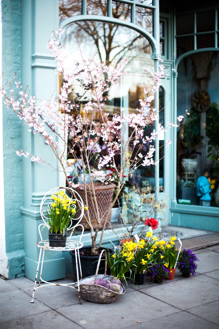 SPRING FEELING - Mediamarmalade