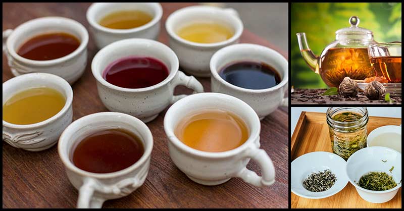 Different Kinds Of Teas: Which Ones Are For You? | Dr Farrah MD