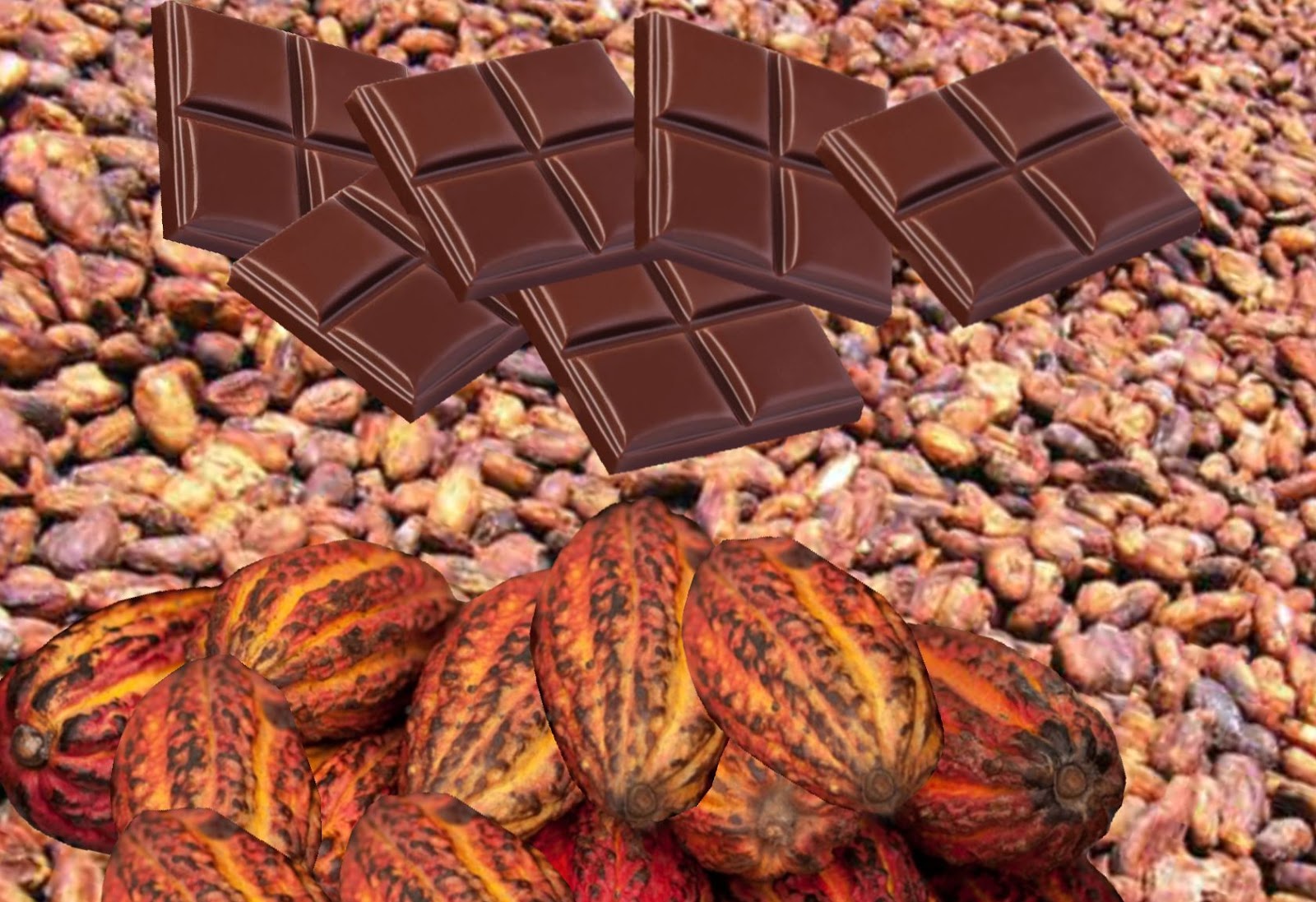 LIBRE EXPRESION EN LIMA NORTE: RECONOCEN AL CHOCOLATE PERUANO COMO EL ...