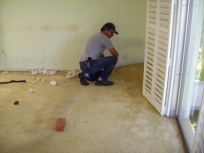 Mike and Lisa's World: Florida Flip 2...Tearing Up The Yard And ...