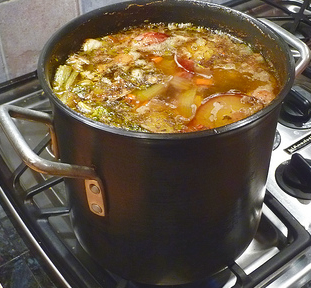 Home-made Stock (frozen) Cubes